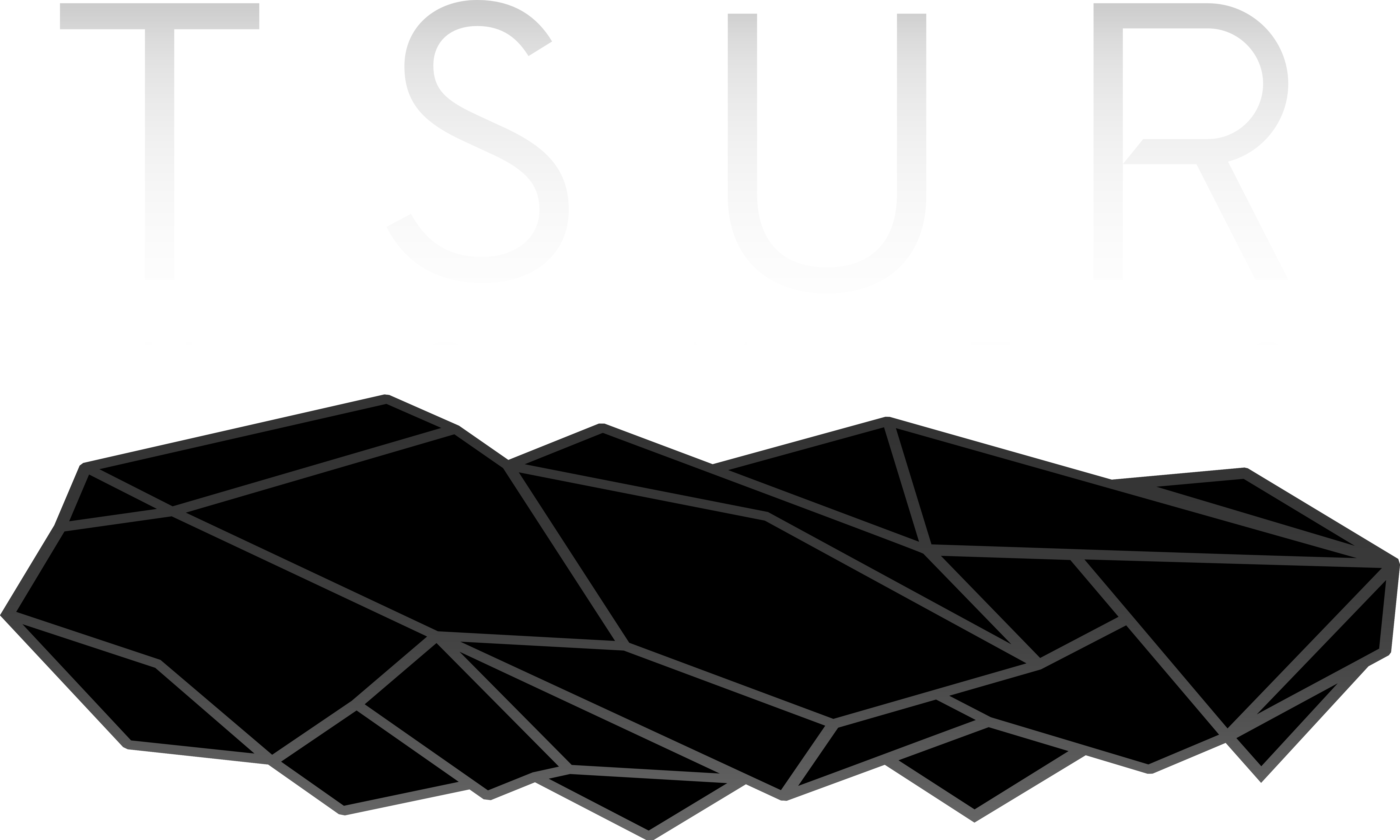 Dark BG Logo – TSUR Homes
